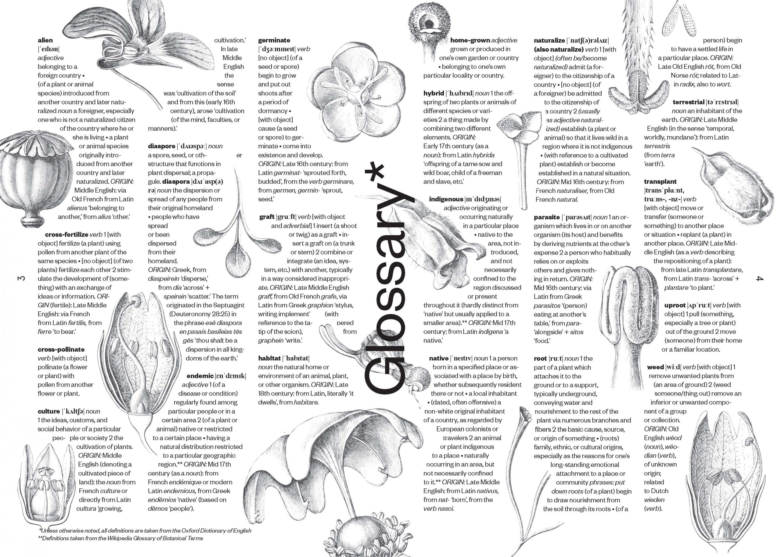 The Futureless Memory - Kunsthaus Hamburg