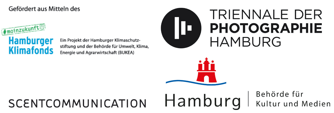 Formafantasma: Seeing the Wood for the Trees - Kunsthaus Hamburg